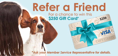 FIRST CLASS FEDERAL CREDIT UNION - Allentown PA